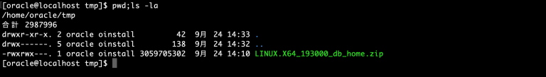 Oracledatabase19c Oracledb構築①インストール編oraclelinux8 誰も知らない図書館